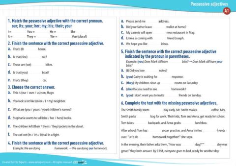 Grammar Worksheet: Possessive Adjectives - ESL Expertz